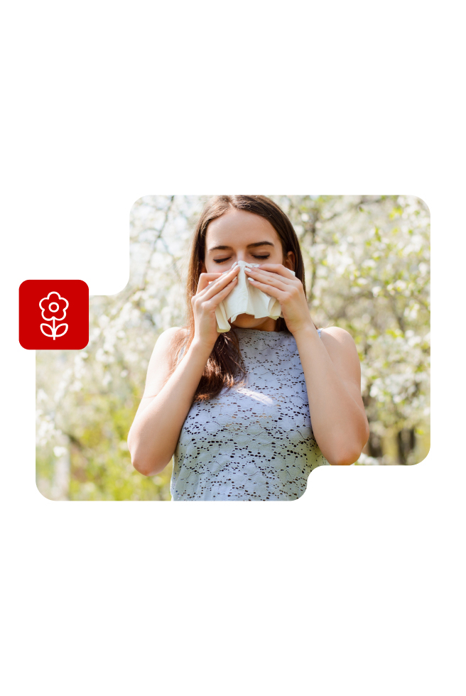 Tap into a $1B+ spring allergy retail moment with CMX®